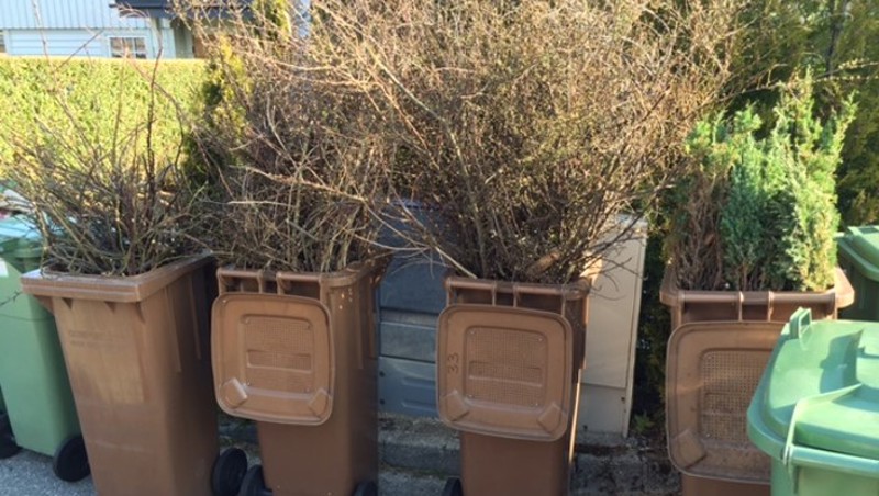 Skille mat og hageavfall | Stavanger kommune